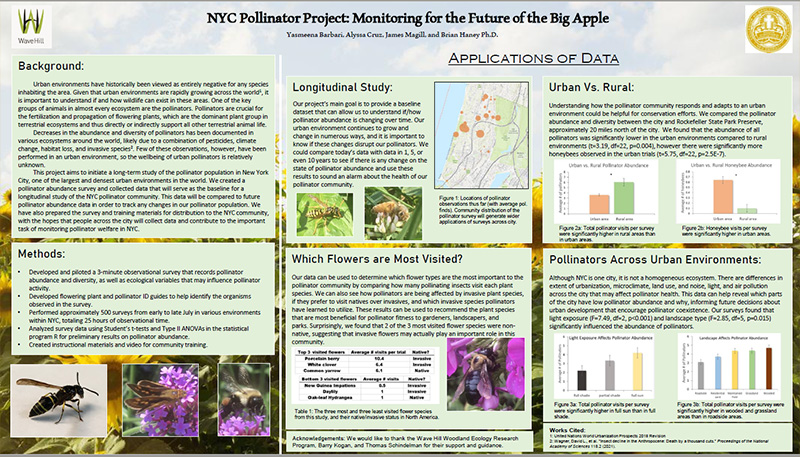 New York City Pollinator Project - University of Mount Saint Vincent