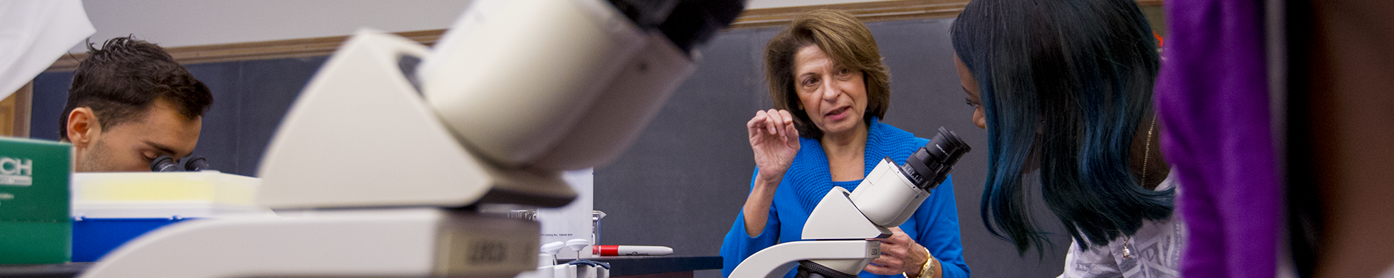 Faculty Experts - University of Mount Saint Vincent